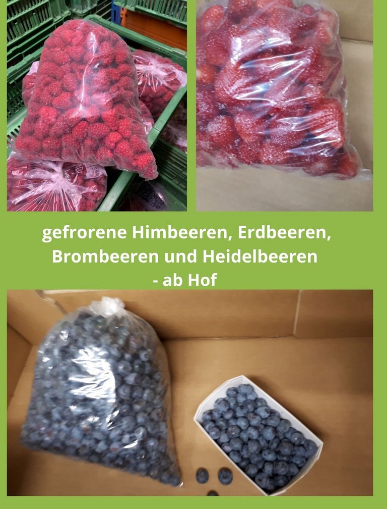 Home: Brunner-Beeren